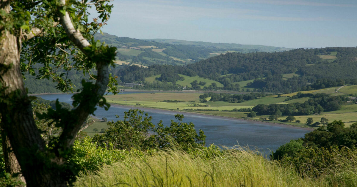 The Conwy Holiday Park Blog